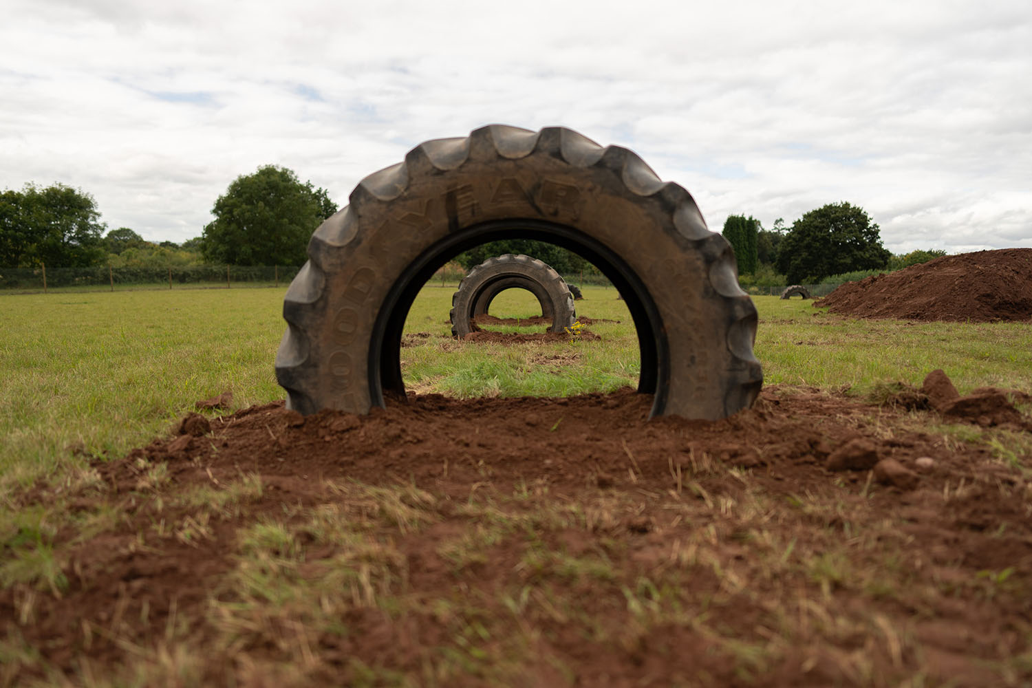 FAQs – Perry Dog Field