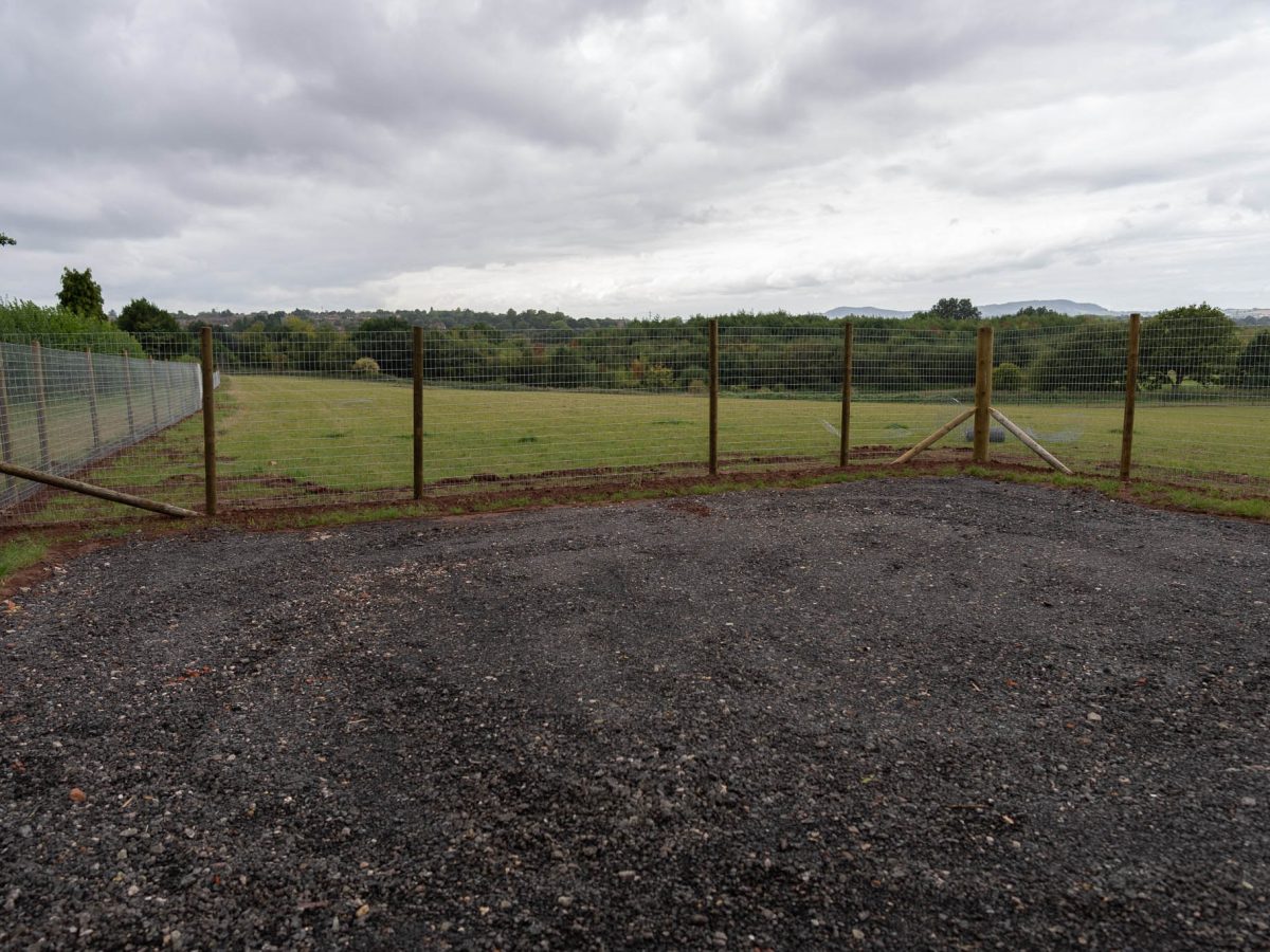 Image Gallery – Perry Dog Field