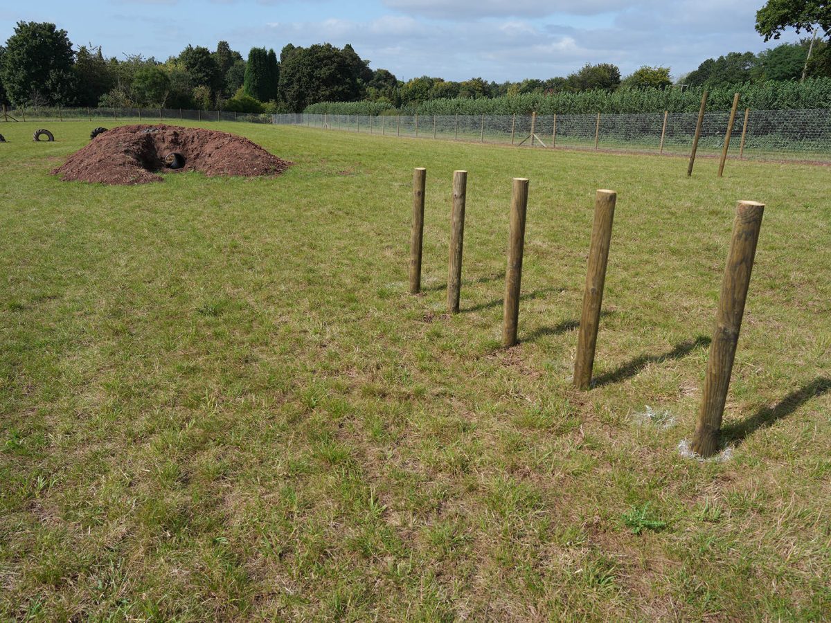 Image Gallery – Perry Dog Field